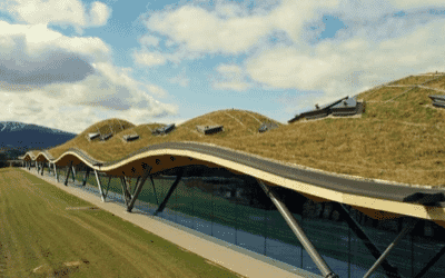 Sky Garden: Your Comprehensive Source for Green Roof Excellence