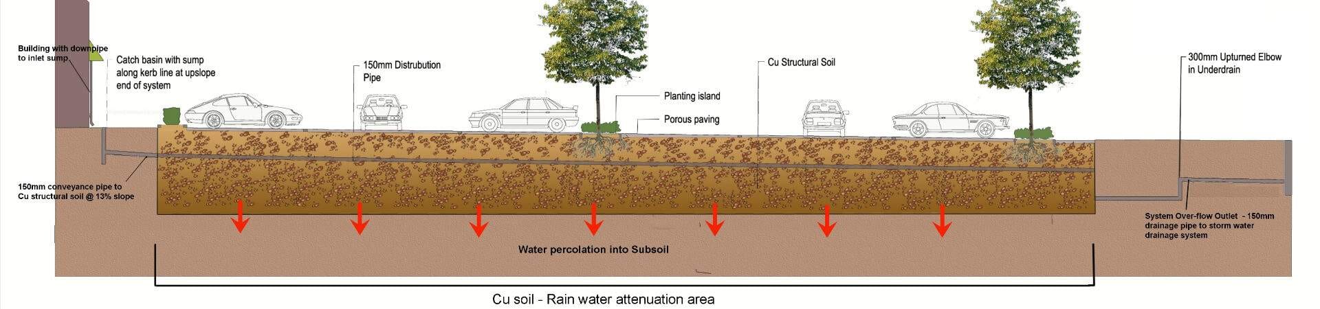 CU Structural Tree Soils | Sky Garden
